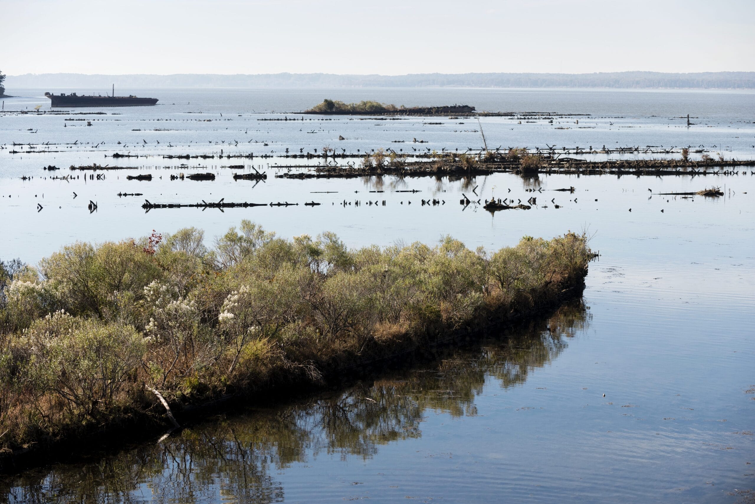 The Ghost Fleet of Mallows Bay - Trust for Public Land