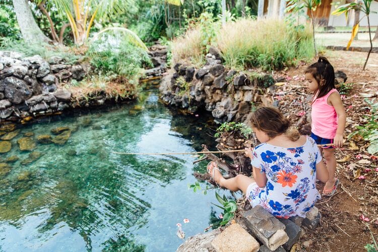 For Honolulu residents, reviving a forgotten spring is a labor of love ...