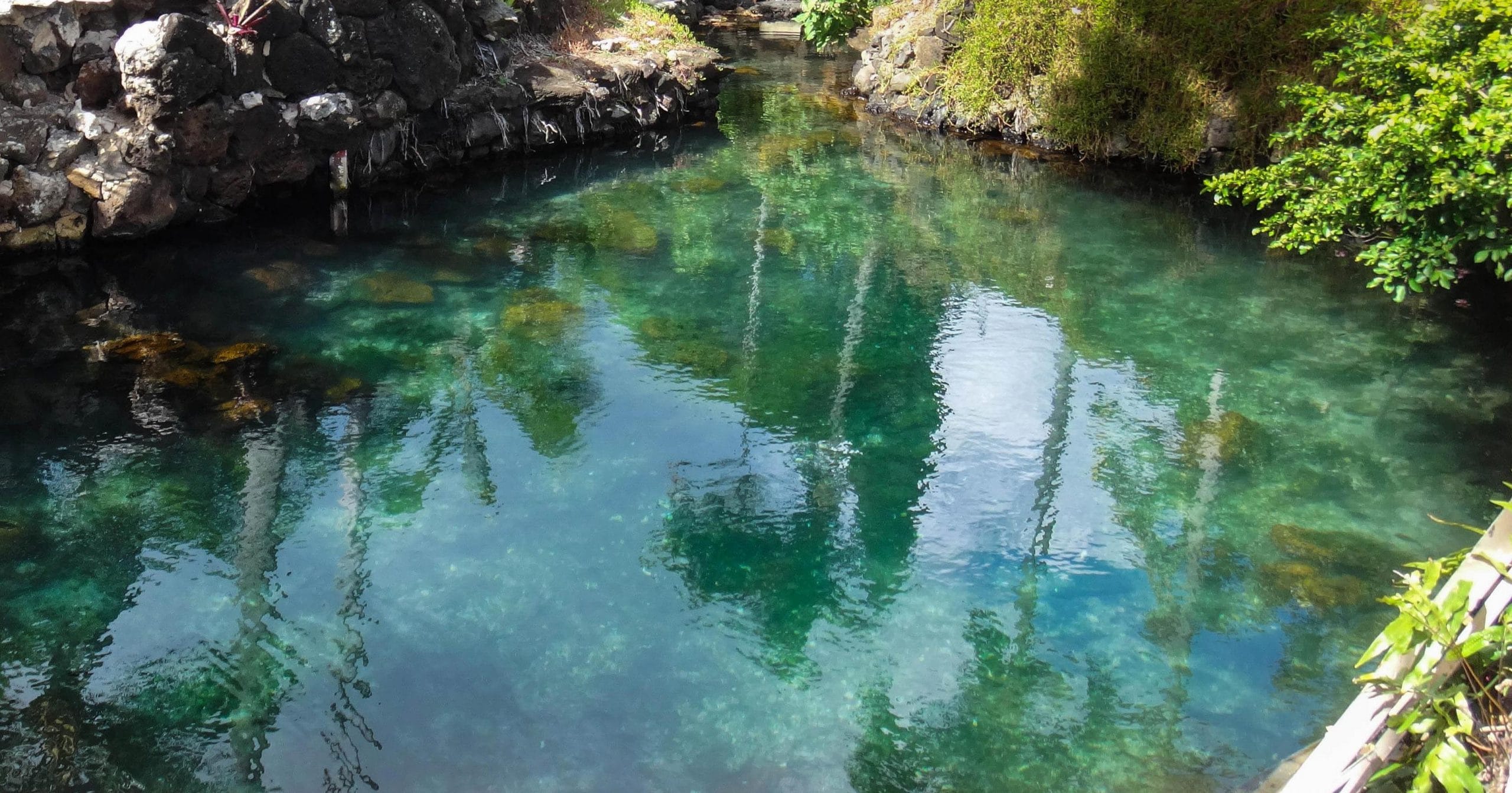 For Honolulu residents, reviving a forgotten spring is a labor of love ...