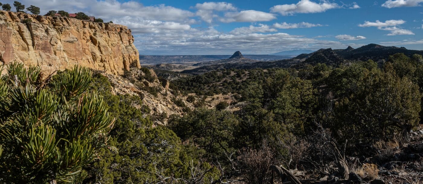 L Bar: A Big Win for People and Wildlife in New Mexico - Trust for ...